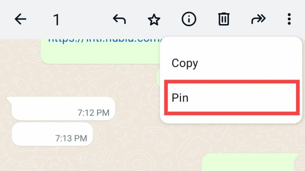 How To Pin A Message In WhatsApp?